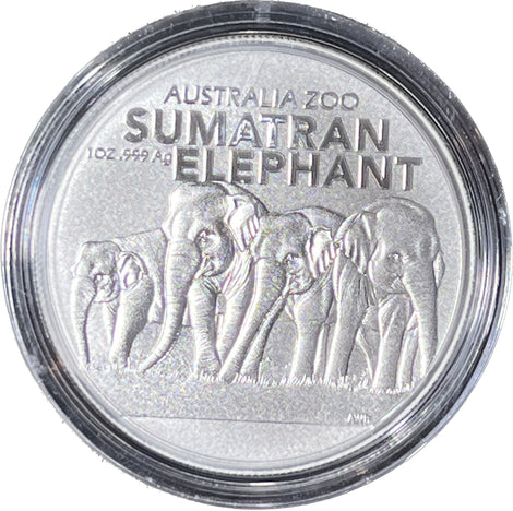 CoinHunter Supplies and Coins – CoinHunter Supplies and Collectibles